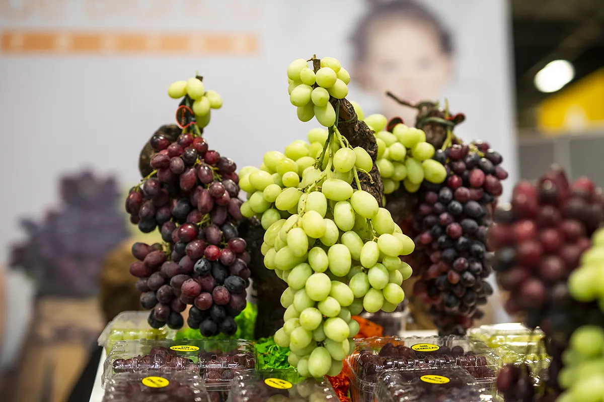 Why Visit - Fruit Attraction Sao Paulo | IFEMA MADRID INTERNACIONAL