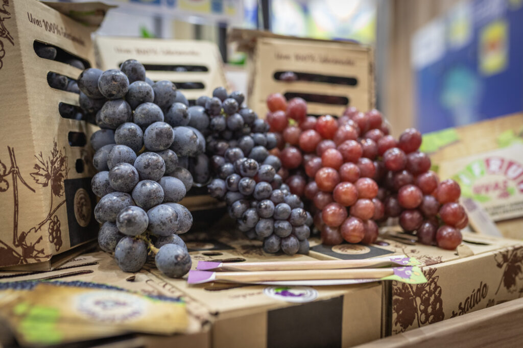 Galeria Fruit Attraction São Paulo 2024 - Fruit Attraction Sao Paulo | IFEMA MADRID INTERNACIONAL