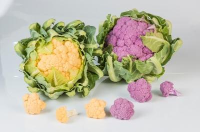 GAUTIER SEMILLAS full of novelties at Fruit Attraction