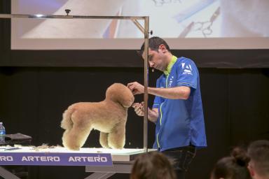 Iberzoo Propet 2023 | Professional pet animals Fair