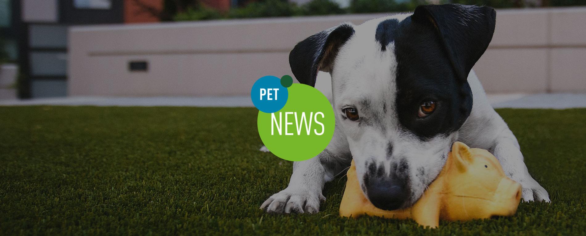 IBERZOO PROPET | Feria para el profesional del animal de compañía