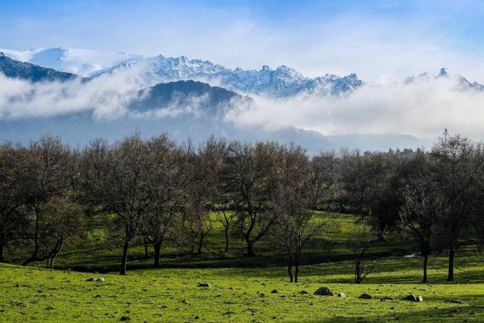 Qué parques naturales de Madrid visitar | IFEMA MADRID